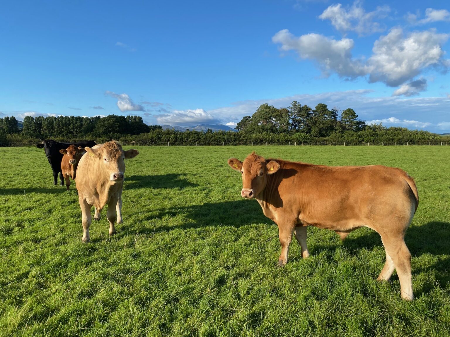 What We Do - Furness & South Cumberland Supply Association Ltd